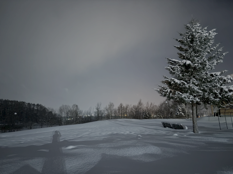 サイトを更新しました | 湯川研究室